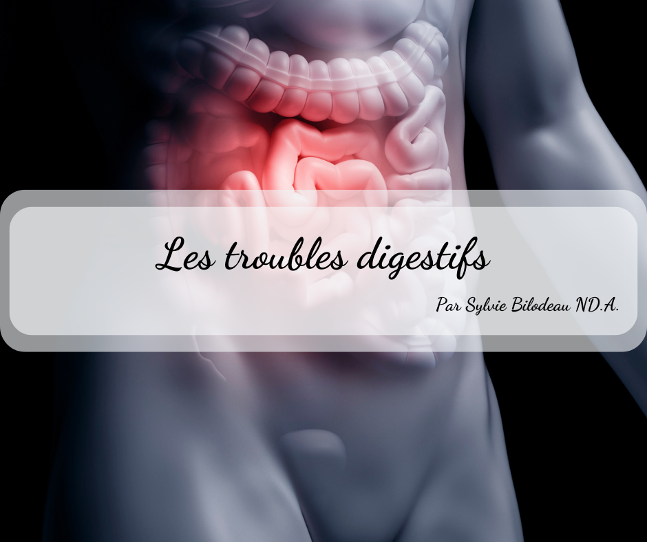 Les troubles digestifs - Coop Alentour - Notre épicerie santé